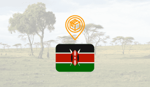 Does Amazon Ship to Kenya? (How To, Fees, and More)